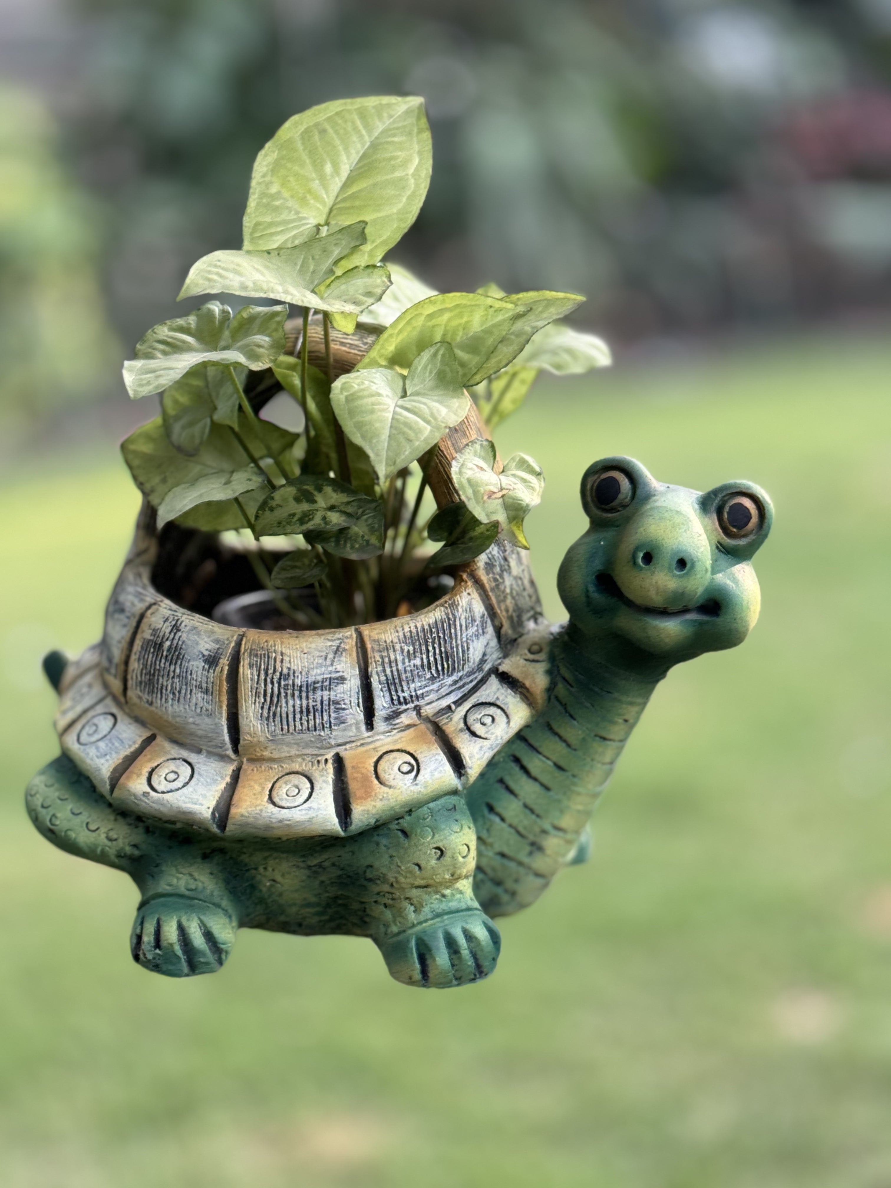 TERRACOTTA HANGING TURTLE PLANTER POT HOME GARDEN BALCONY DECOR ...