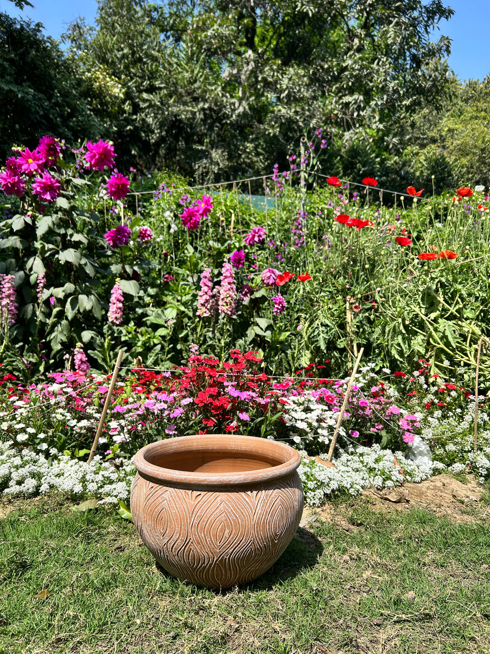 Leaf carving pot – Sondha The Garden Shop